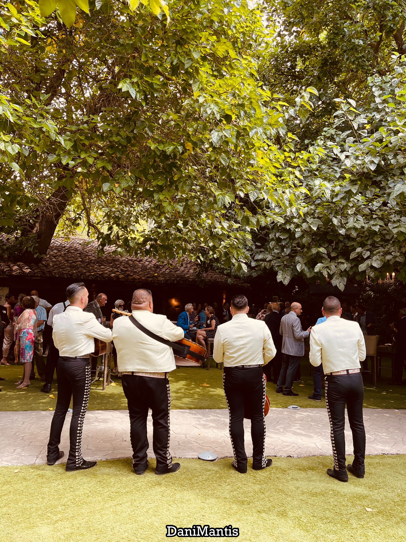 Mariachis a domicilio - Todo Mariachis